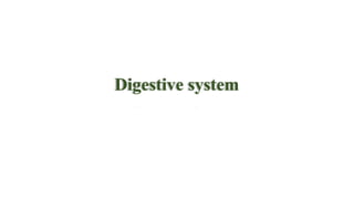 Digestive System notes.pptx