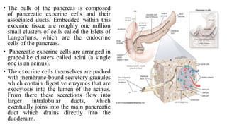 Digestive System notes.pptx