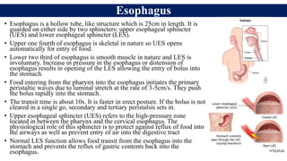 Digestive System notes.pptx