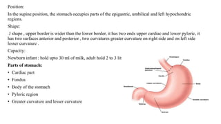 digestive system nursing [Autosaved].pptx