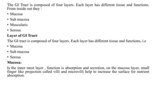 digestive system nursing [Autosaved].pptx