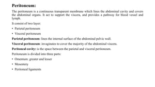 digestive system nursing [Autosaved].pptx