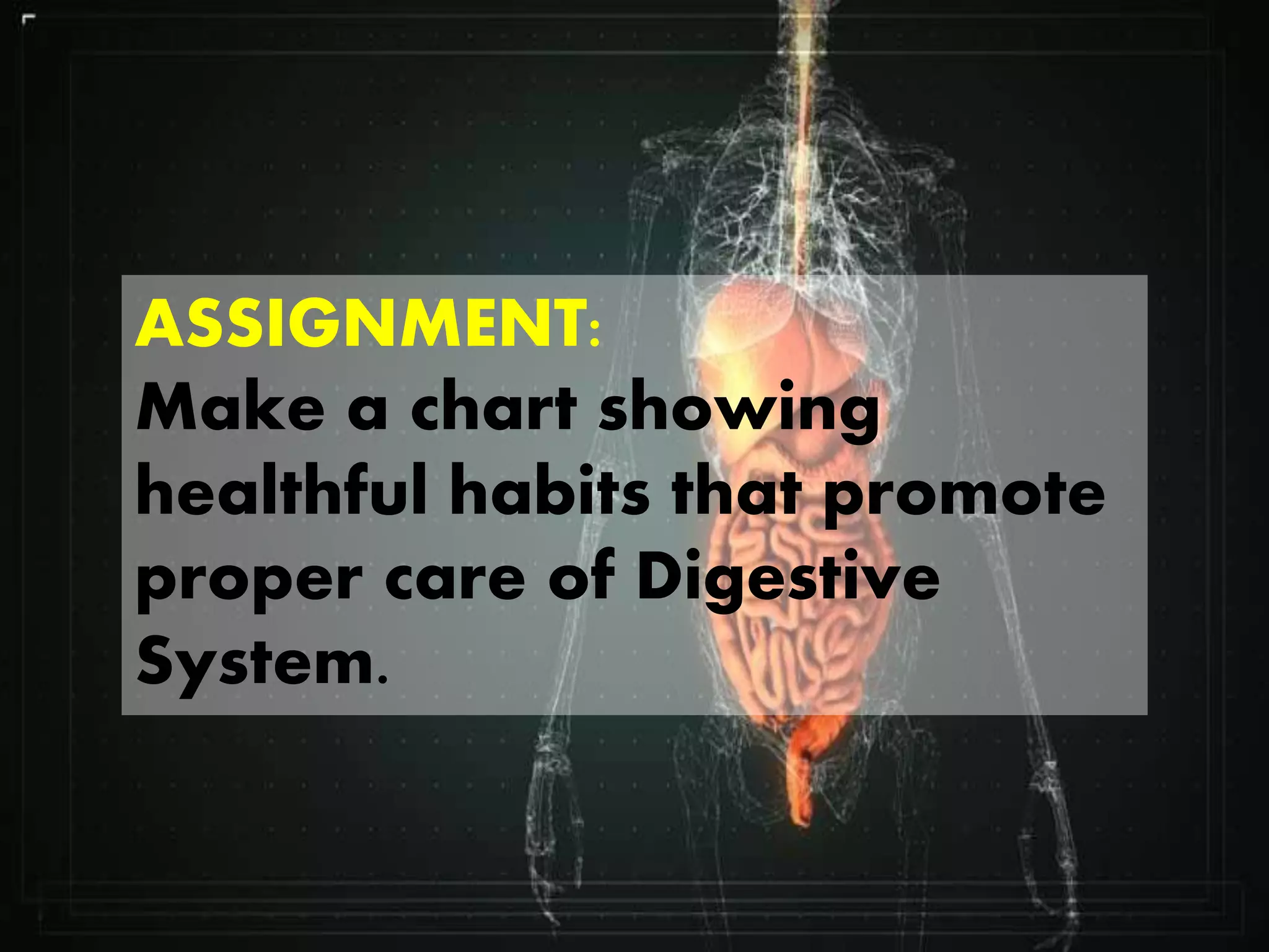 DigestiveSystem_Observation.pptx