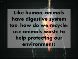 DigestiveSystem_Observation.pptx