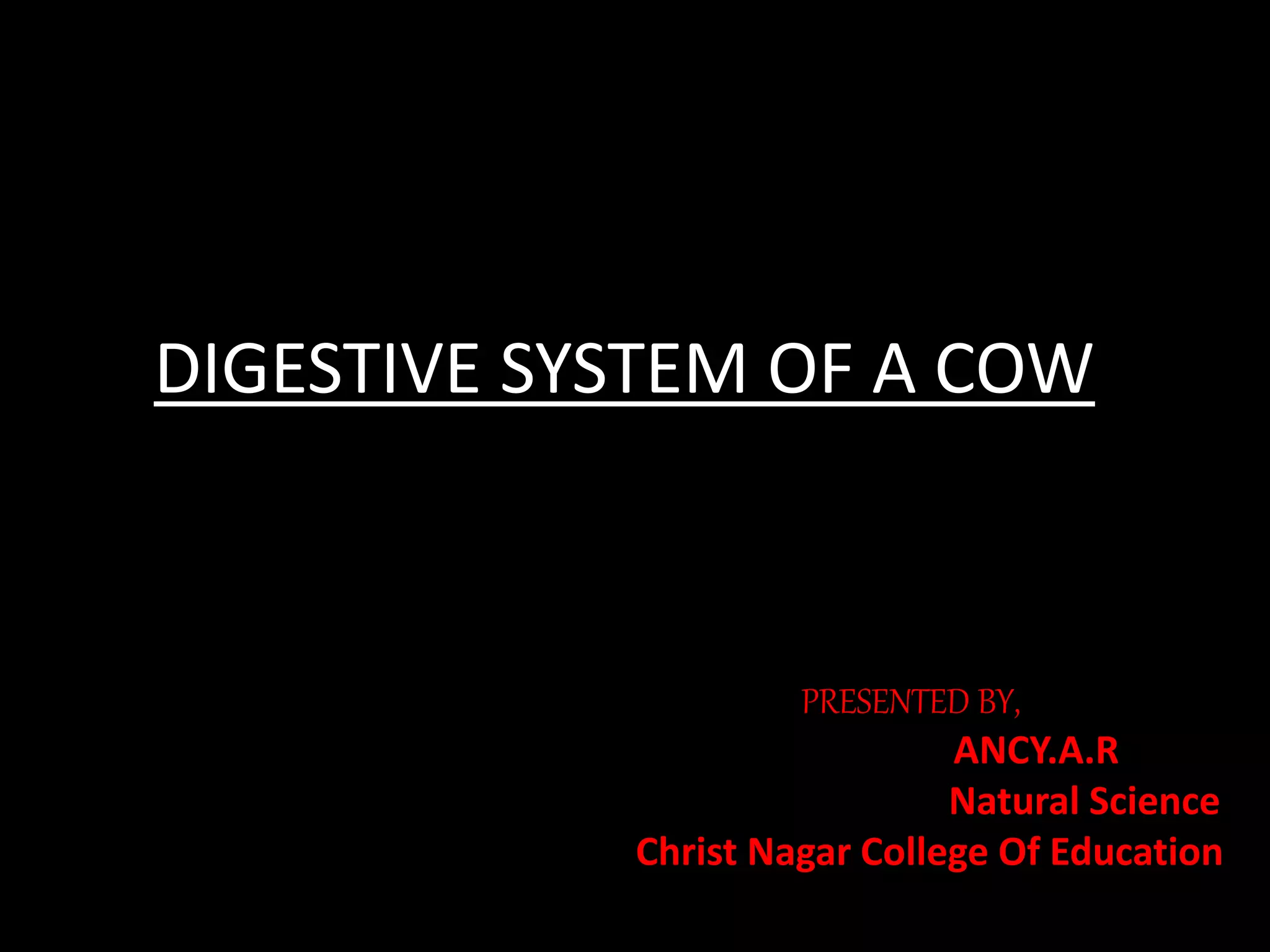 Digestive system of a cow | PPTX