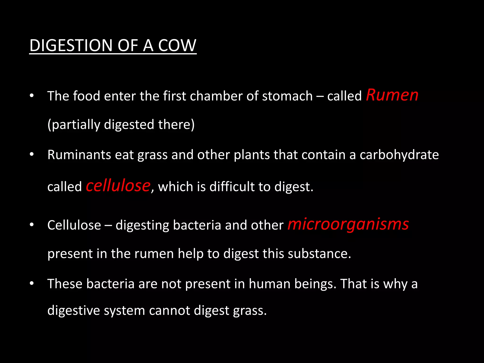 Digestive system of a cow | PPTX