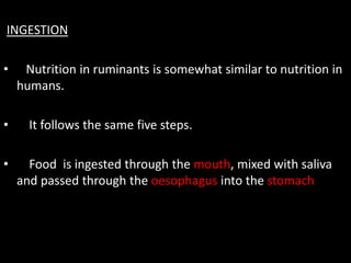 Digestive system of a cow | PPTX
