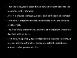 Digestive system of a cow | PPTX