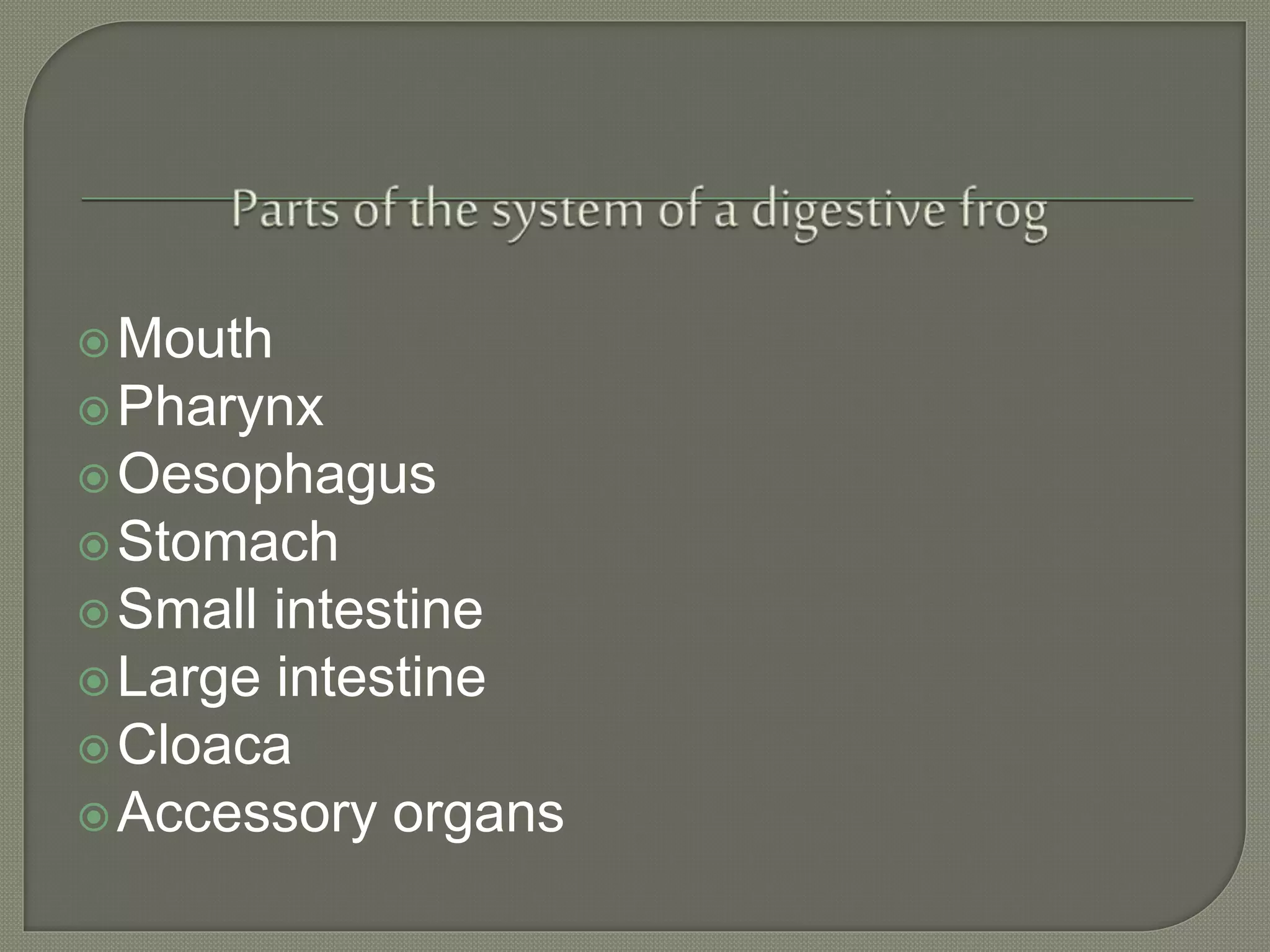 Digestive system of a frog | PPTX