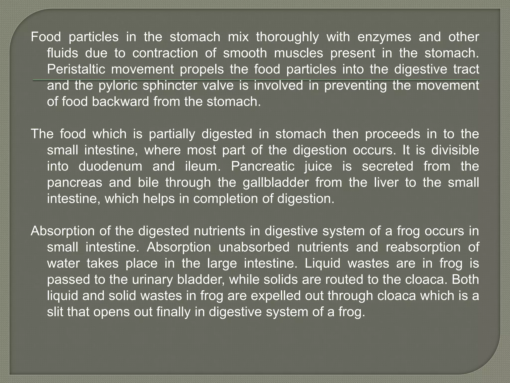 Digestive system of a frog | PPTX