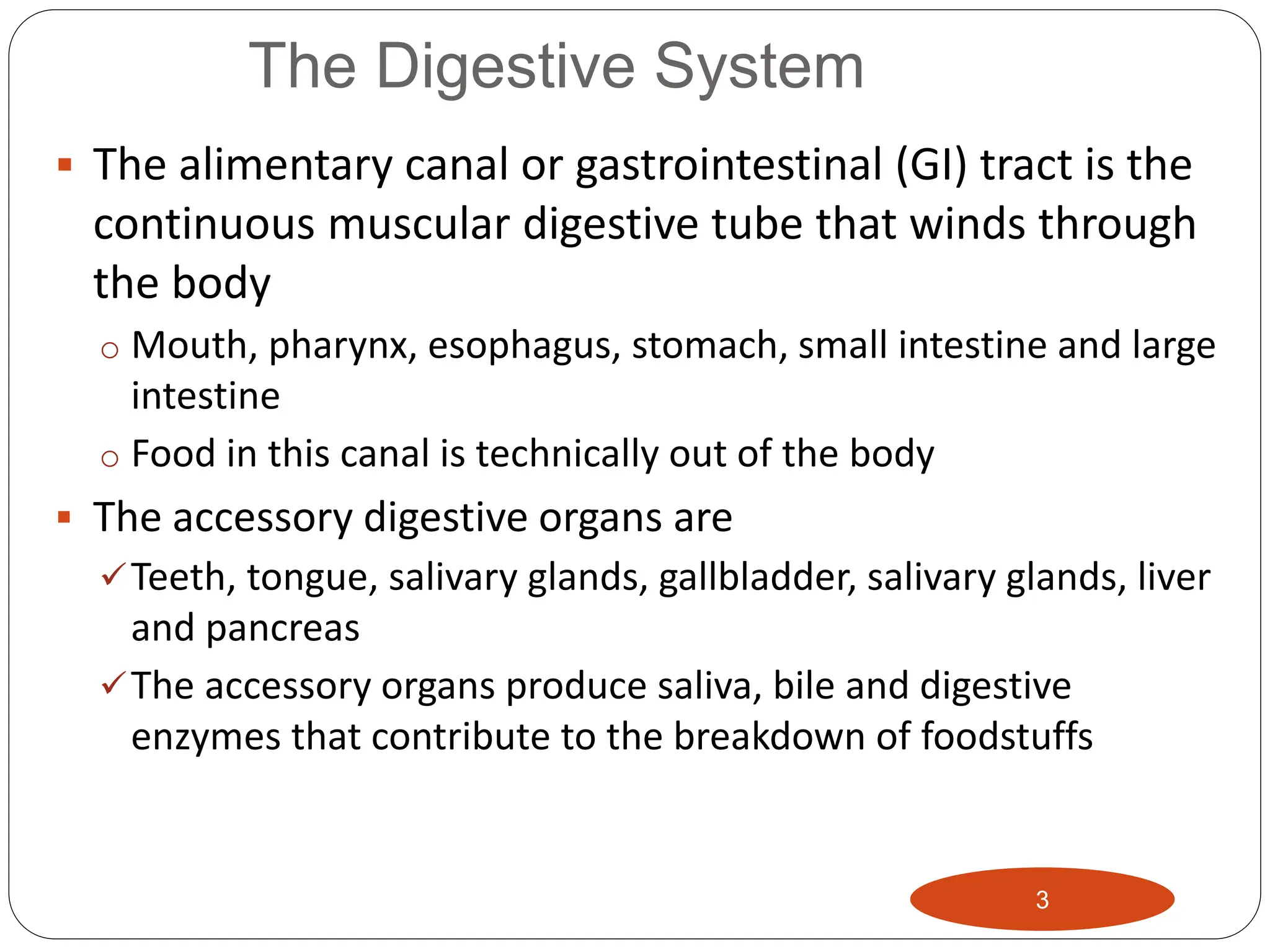 digestive system of anatomypowerpoint pres | PPT