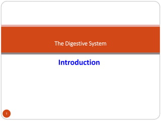 digestive system of anatomypowerpoint pres | PPT