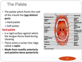 digestive system of anatomypowerpoint pres | PPT
