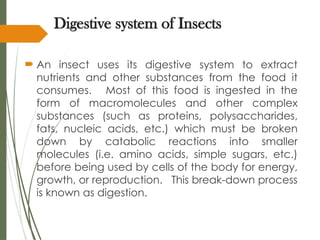 digestive system of an insects.pptx free | PPTX | Digestive Disorders ...