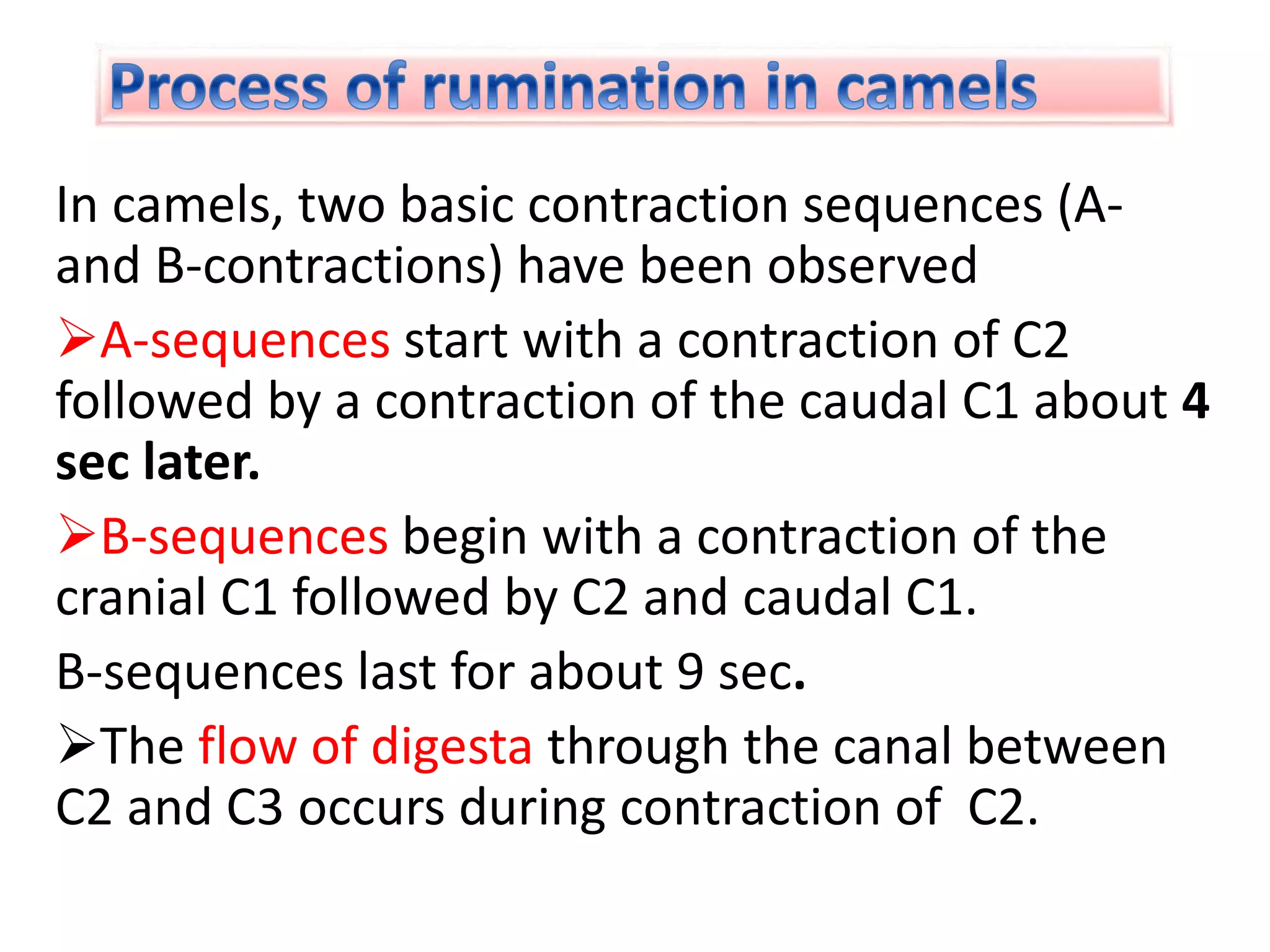 Digestive system of camel | PPTX
