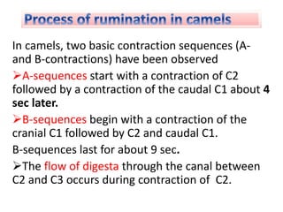 Digestive system of camel | PPTX