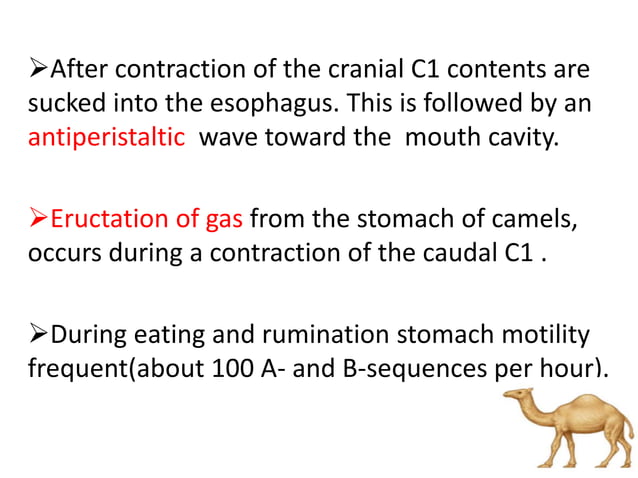 Digestive system of camel | PPTX | Digestive Disorders | Diseases and ...