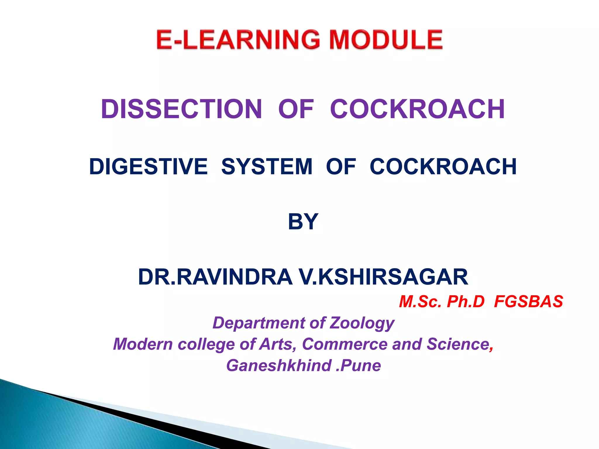 Digestive system of cockroach | PPSX