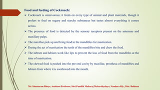 Digestive system of Cockroach.pptx