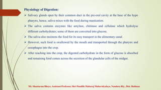 Digestive system of Cockroach.pptx