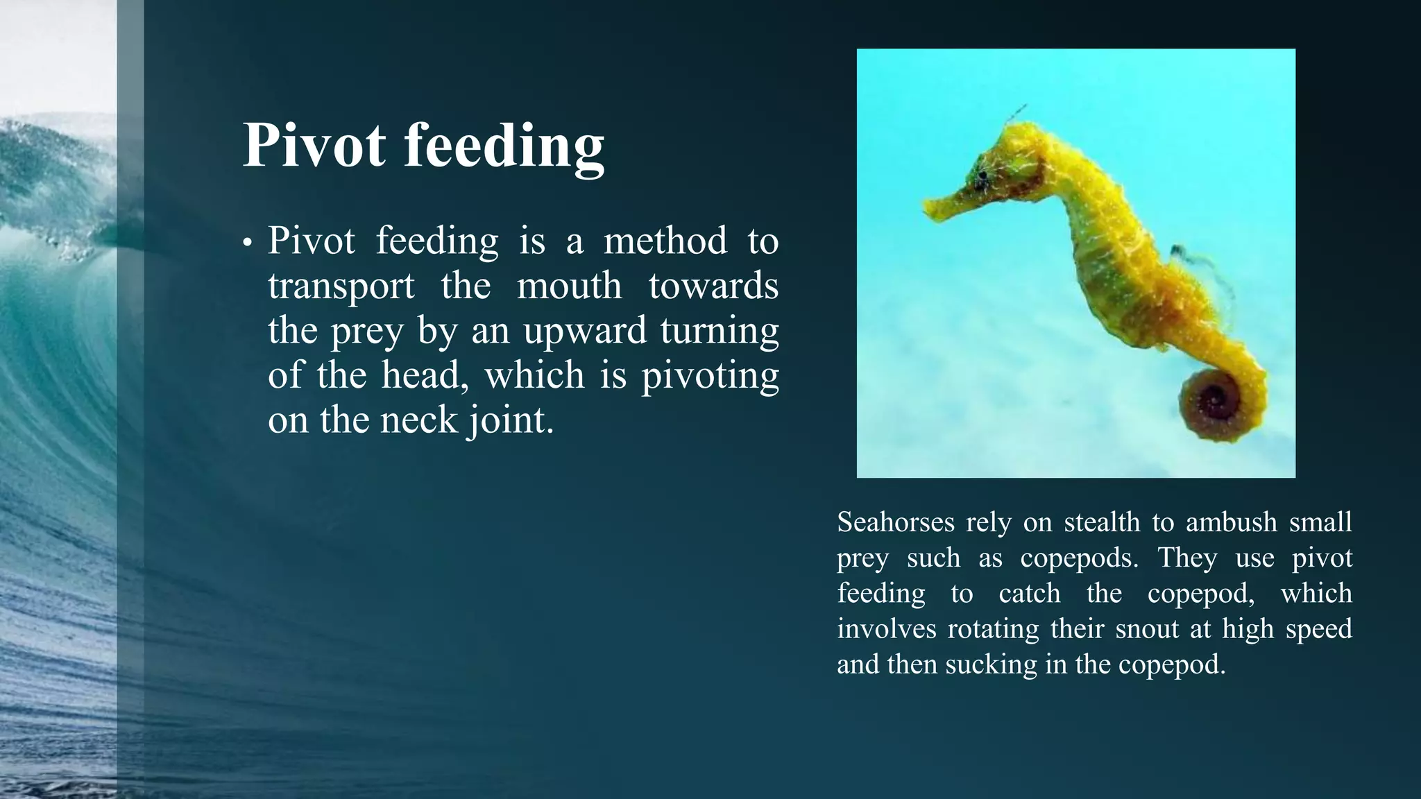 Digestive system of fish | PPTX