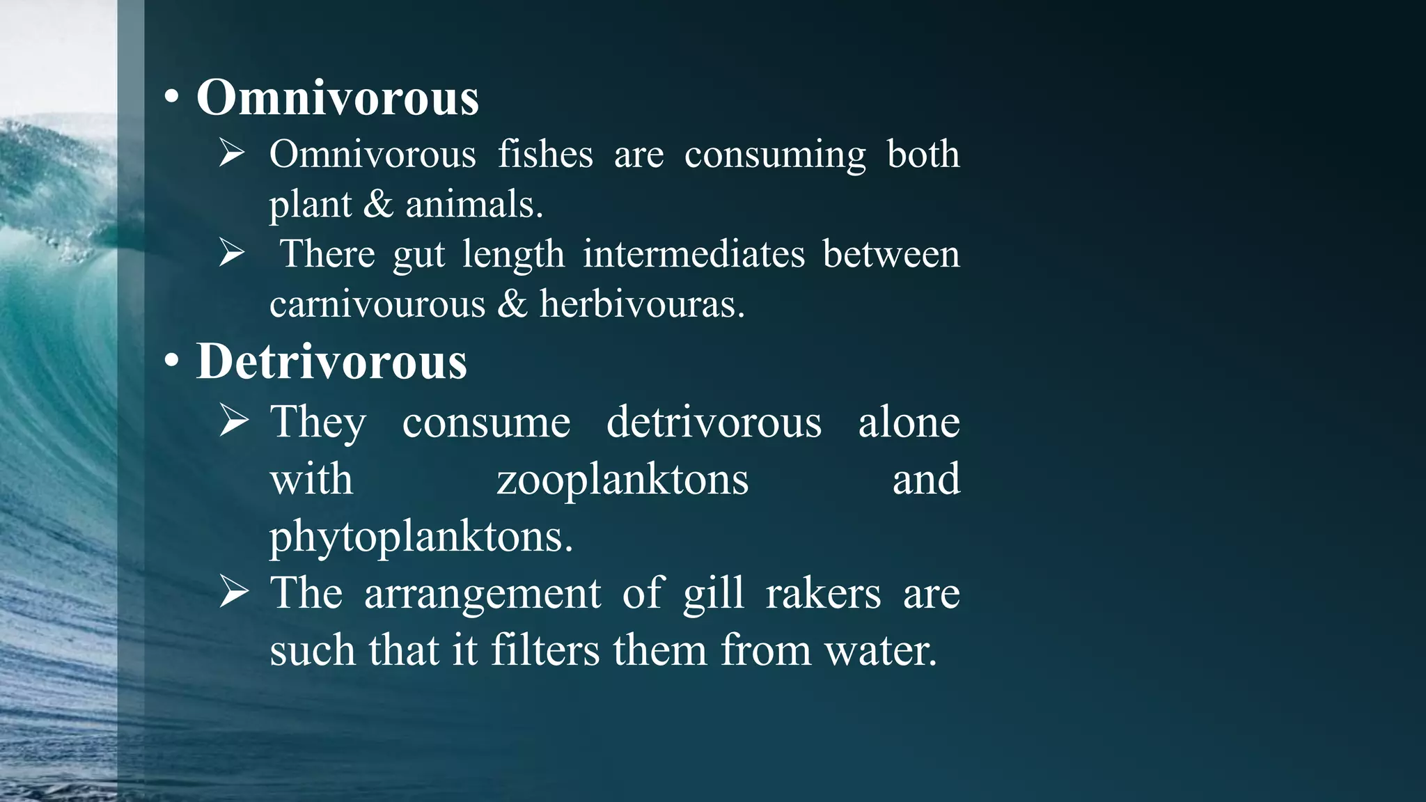 Digestive system of fish | PPTX