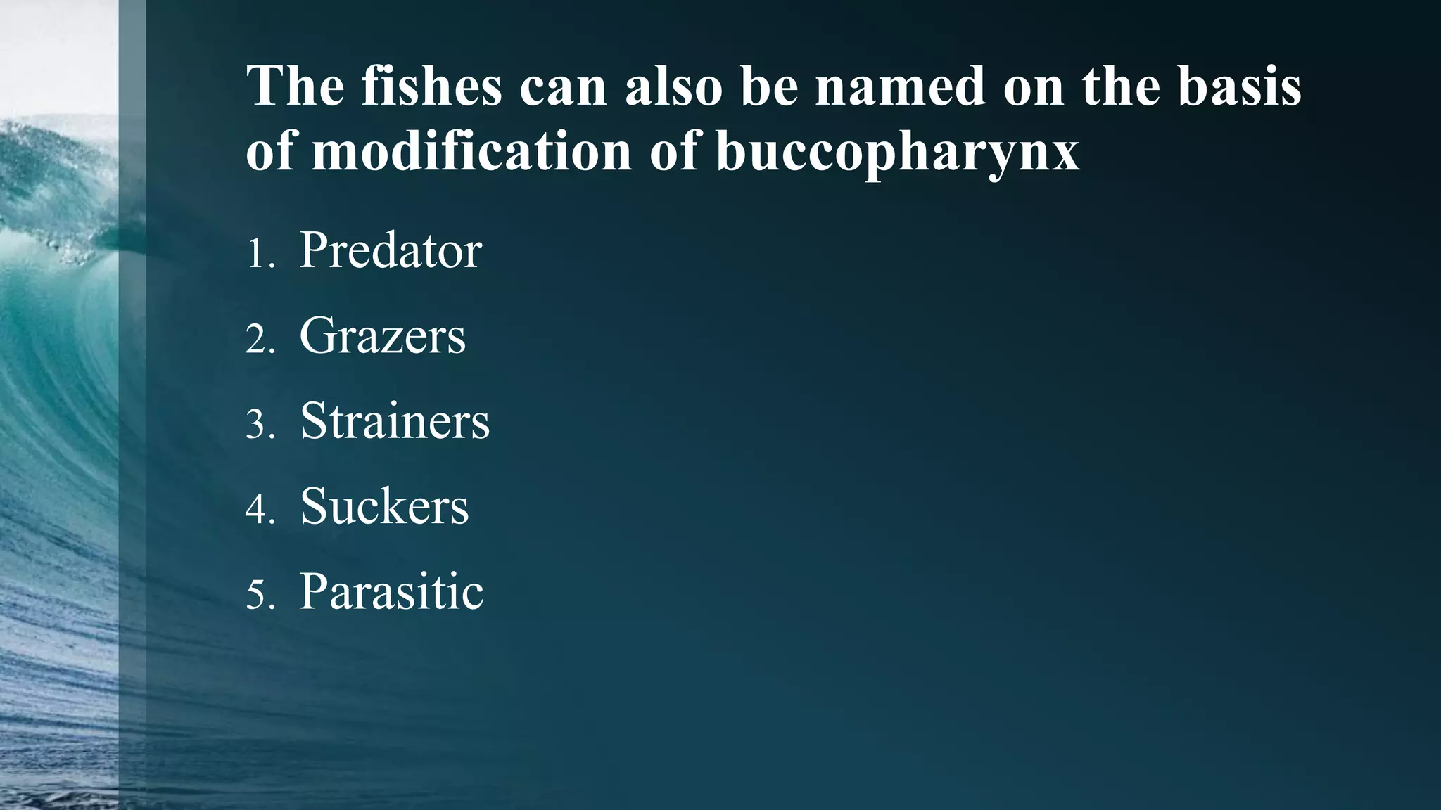 Digestive system of fish | PPTX