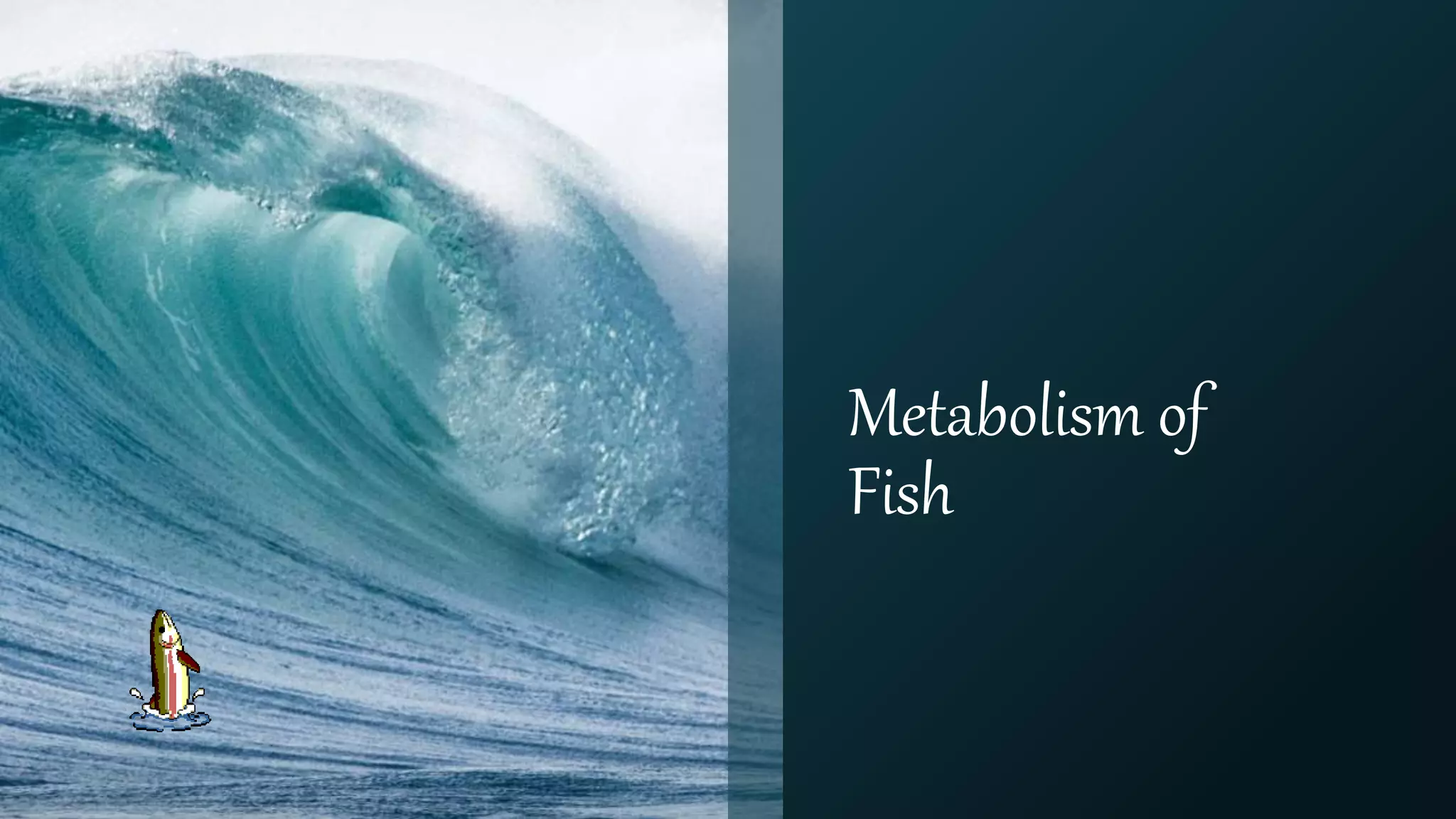 Digestive system of fish | PPTX