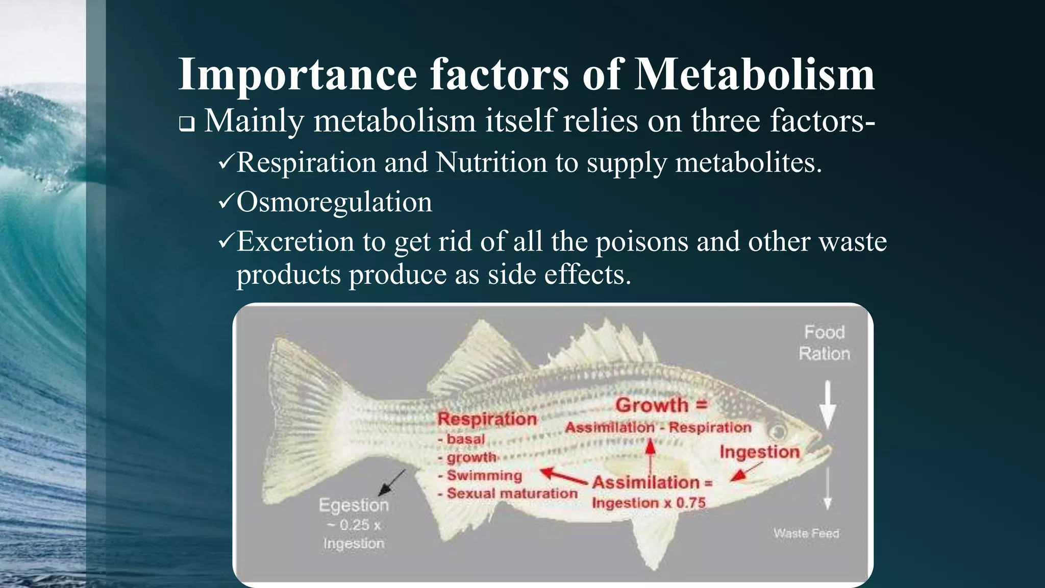 Digestive system of fish | PPTX
