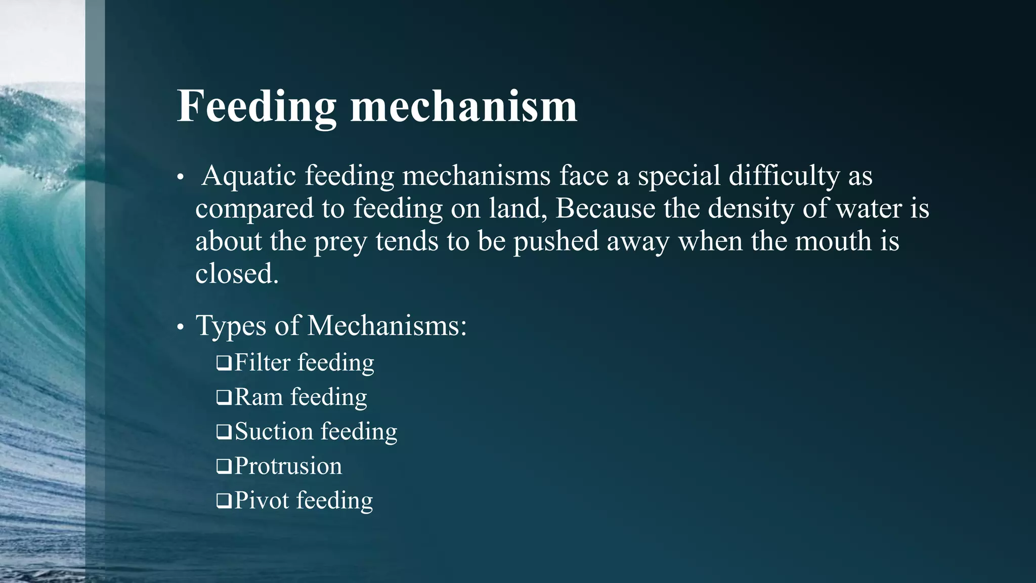 Digestive system of fish | PPTX