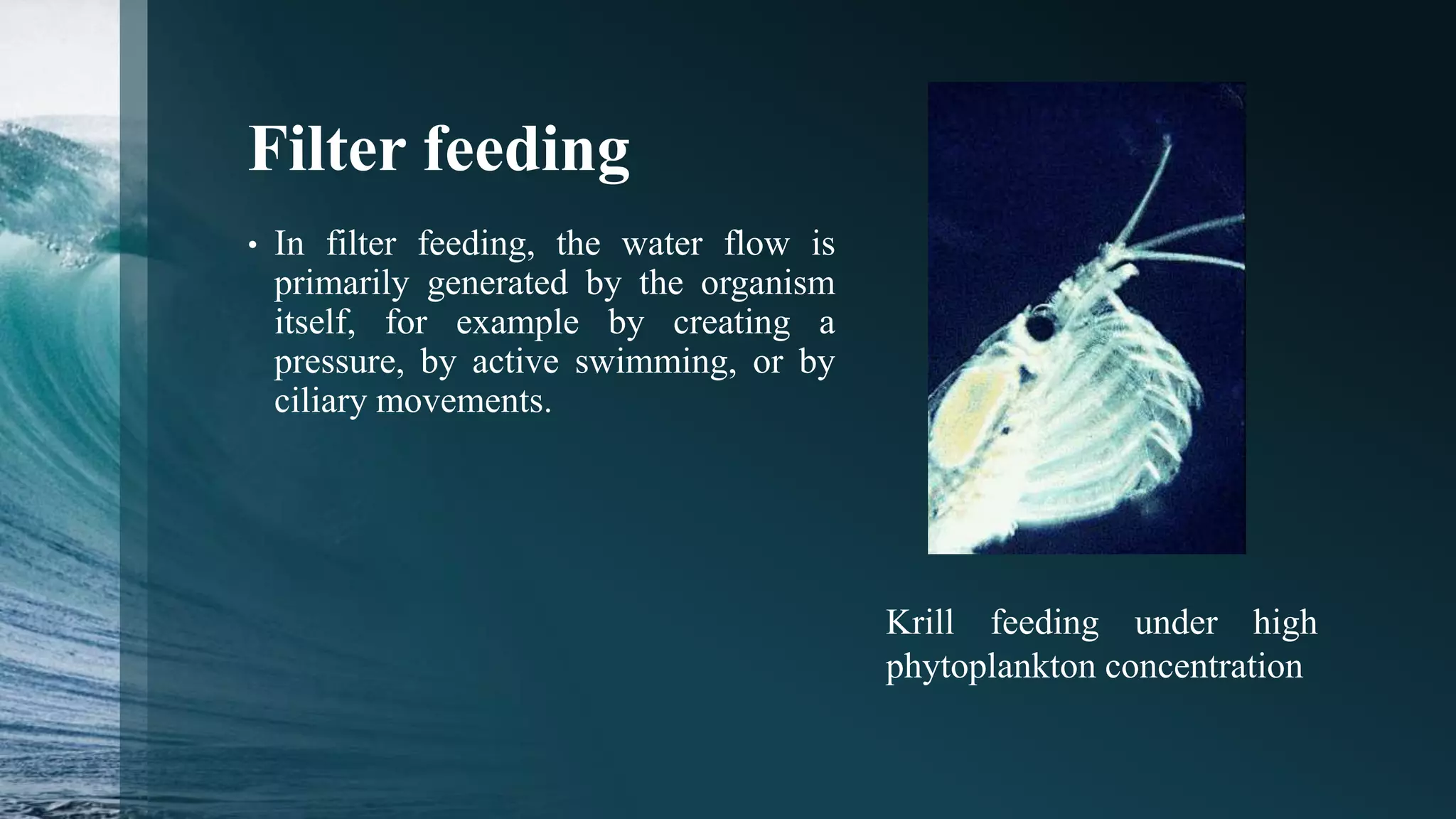 Digestive system of fish | PPTX