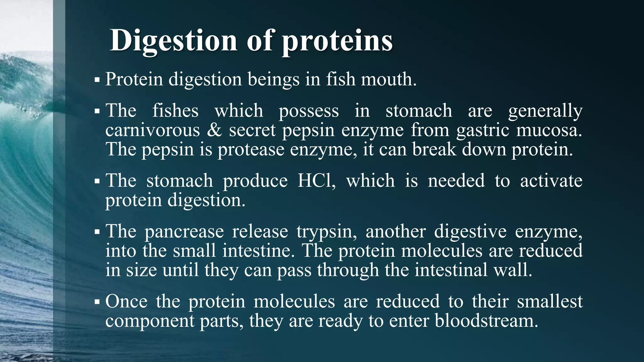 Digestive system of fish | PPTX