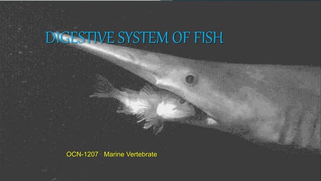 Digestive system of fish | PPTX | Digestive Disorders | Diseases and ...