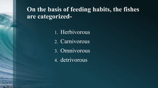 Digestive system of fish | PPTX