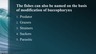 Digestive system of fish | PPTX