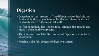 Digestive system of fish | PPTX
