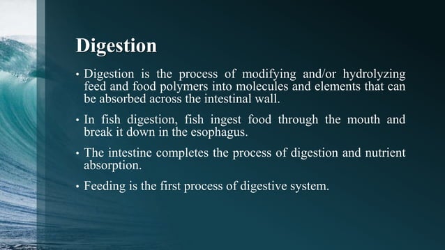 Digestive system of fish | PPTX | Digestive Disorders | Diseases and ...