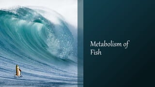 Digestive system of fish | PPTX