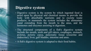 Digestive system of fish | PPTX