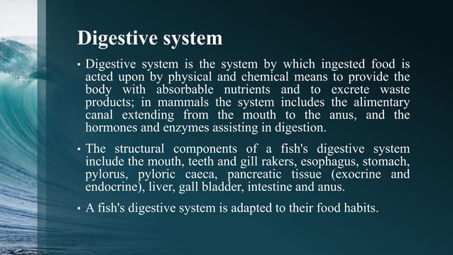Digestive system of fish | PPTX | Digestive Disorders | Diseases and ...