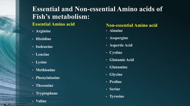 Digestive system of fish | PPTX | Digestive Disorders | Diseases and ...
