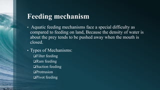 Digestive system of fish | PPTX