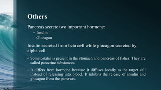 Digestive system of fish | PPTX