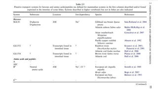 Digestive system of fish | PPTX