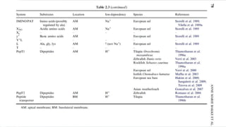 Digestive system of fish | PPTX