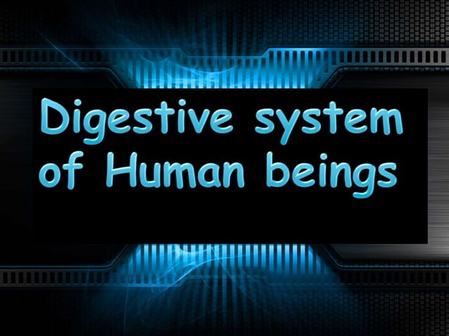 Digestive system of humans | PPTX | Chemistry | Science