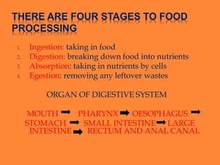 Digestive system of human body | PPTX