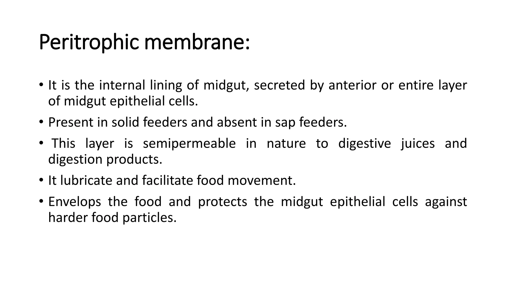 Digestive system of insect | PPTX