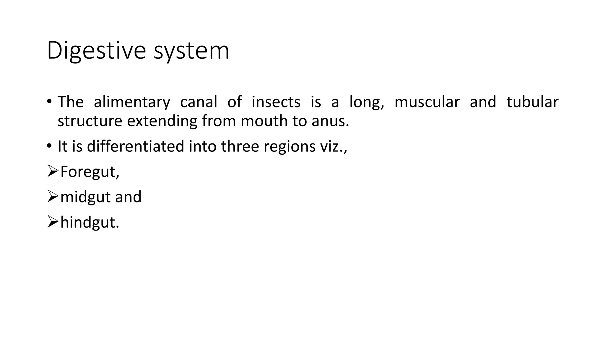 Digestive system of insect | PPTX