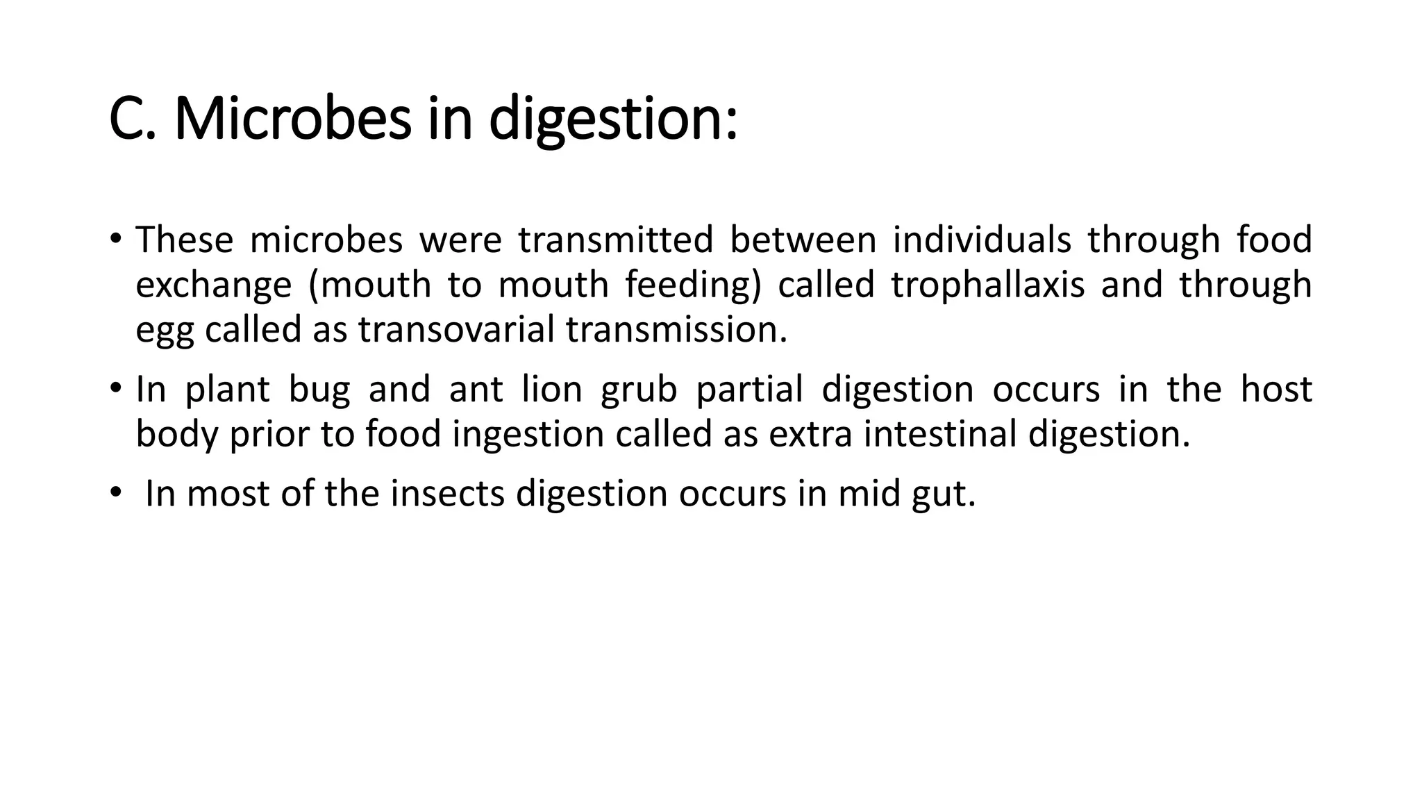 Digestive system of insect | PPTX